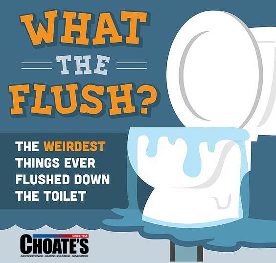 What the Flush? The Weirdest Things Ever Flushed Down Toilets